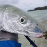 Fly Fishing Tour - Why This Tour Stands Out