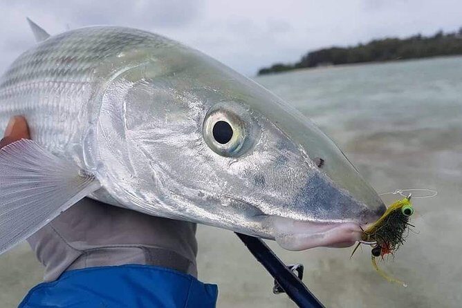 Fly Fishing Tour - Why This Tour Stands Out