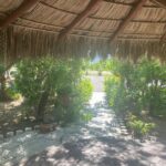 Foco Tonal Sound Vortex Meditation Experience in Los Cabos - Exploring the Experience: A Closer Look