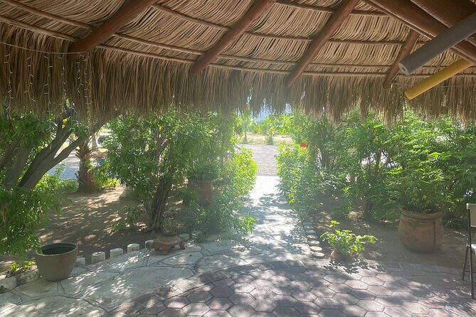 Foco Tonal Sound Vortex Meditation Experience in Los Cabos - Exploring the Experience: A Closer Look