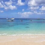 Folkestone Coral Reef Clear Kayak Tour - The Itinerary: What to Expect from Start to Finish