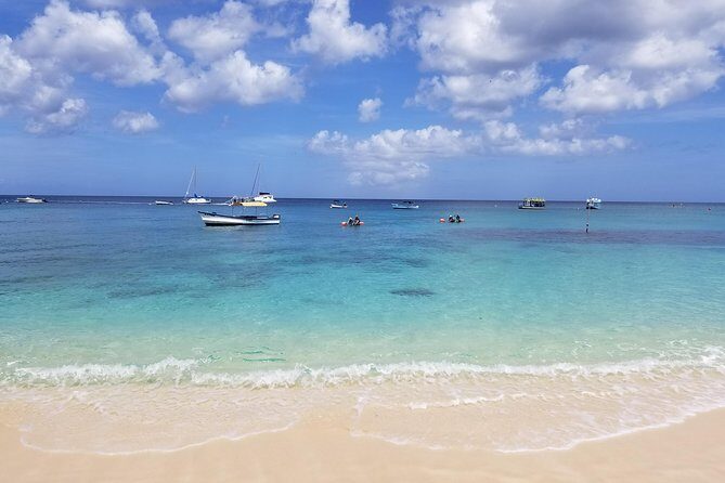 Folkestone Coral Reef Clear Kayak Tour - The Itinerary: What to Expect from Start to Finish