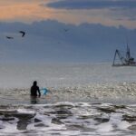 Folly Beach Sunrise or Sunset Photo Walk - The Itinerary Breakdown