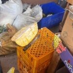 Foodie Tour City Highlights and Shopping - What Past Participants Say