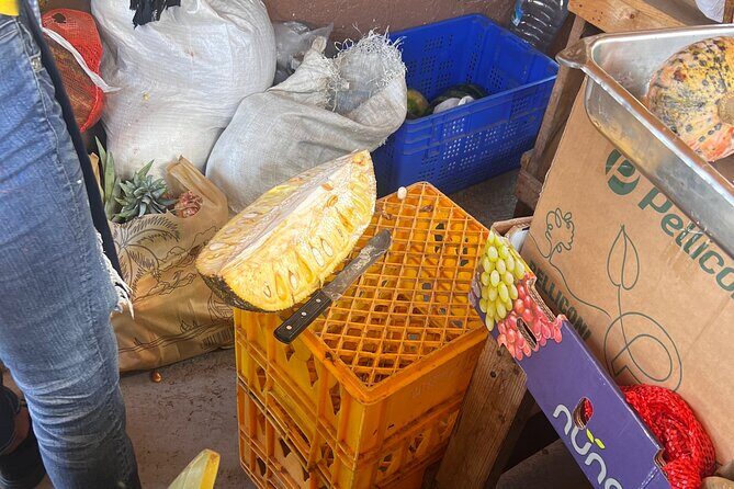 Foodie Tour City Highlights and Shopping - What Past Participants Say