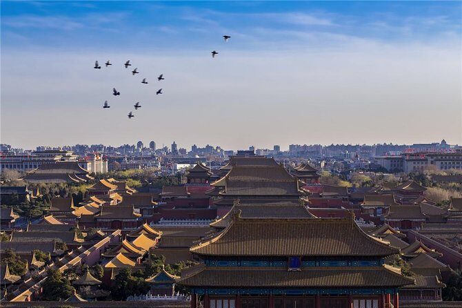 Forbidden City and Imperial Garden Tour in Beijing - Transportation and Logistics