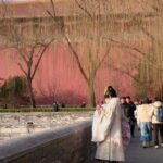 Forbidden City Ticket + 5-Language Audio Guide - The Digital Audio Guide: Your Personal Tour Companion