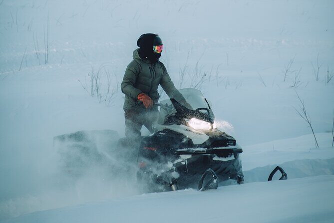 Forest Snowmobile Tour in Alaska - Who Is This Tour Best For?