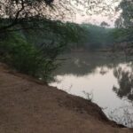 Forest Trail Hiking Adventure-Gurgaon by @Aravali.Hikes - Authentic, Uncrowded, and Engaging