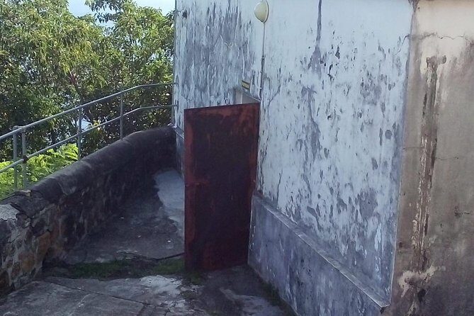 Fort Charlotte, Botanical Gardens and Kingstown Tours with Detention Tours - The Sum Up