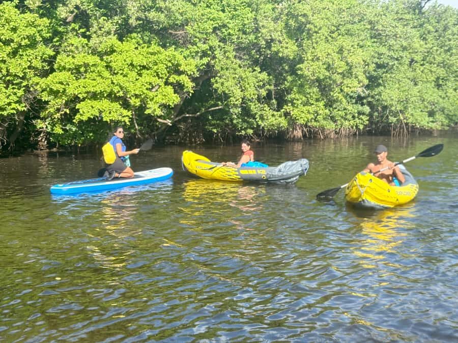 Fort Lauderdale: Kayak & Paddleboard Mangroves Eco Adventure - Final Thoughts