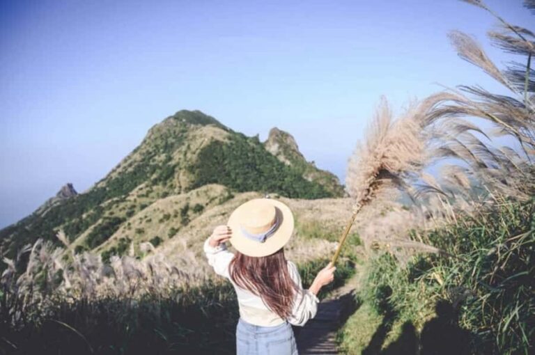 Four-Day In-Depth Tour of Northern Taiwan - Transportation and Group Size