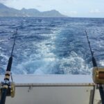 Four-Hour Fishing Tour in Dominica - Analyzing the Value