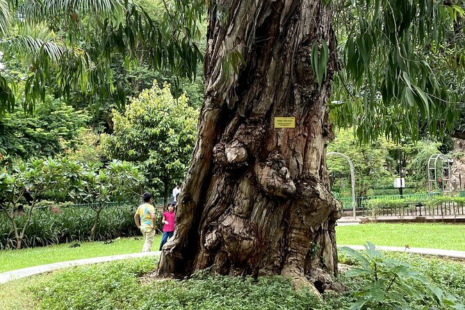 Fragrance Walk and Botany of Ancient Texts Tour - An In-Depth Look at the Experience