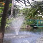 Freeport Shore Excursion: Garden of the Groves and City Tour - Value and Who Should Book This Tour