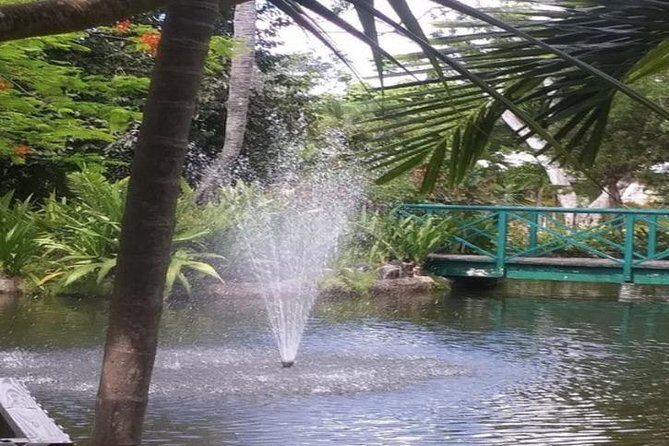 Freeport Shore Excursion: Garden of the Groves and City Tour - Value and Who Should Book This Tour