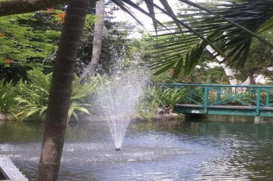 Freeport Shore Excursion: Garden of the Groves and City Tour - Introduction: A Taste of Grand Bahama in Four Hours