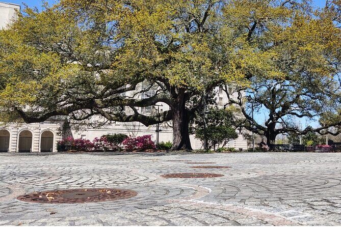 French Quarter, Voodoo, and Vampire History Tour - Who Will Love This Tour?