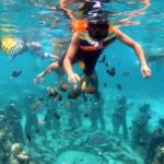 From Bali: 2-Day Gili Trawangan Escape with Hotel & Snorkel - What You Can Expect from the Itinerary