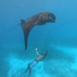 From Bali: 2-Day Nusa Penida East & West and Nusa Lembongan - Who Should Consider This Tour?