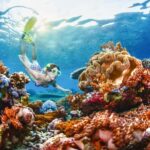 From Bali: 3 Snorkeling Spots Tour to Lembongan and Penida - What Makes This Tour Stand Out