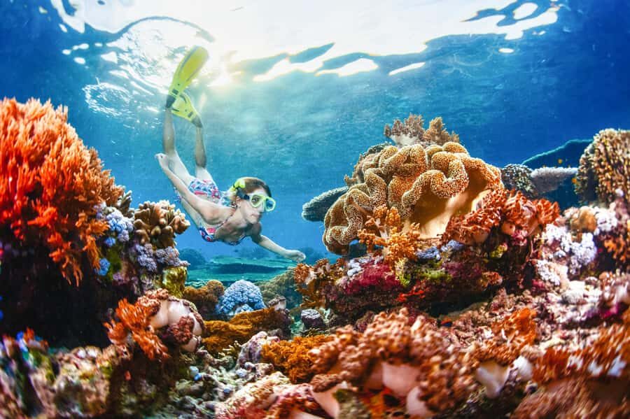 From Bali: 3 Snorkeling Spots Tour to Lembongan and Penida - What Makes This Tour Stand Out