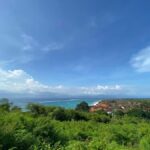 From Bali: Lembongan & Mangrove Buggy Tour with Buffet Lunch - A Closer Look at the Tour Experience