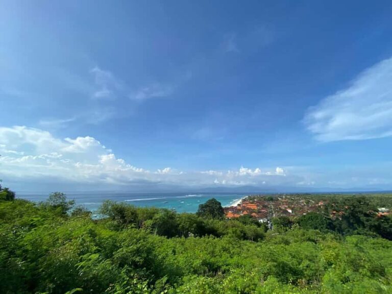 From Bali: Lembongan & Mangrove Buggy Tour with Buffet Lunch - A Closer Look at the Tour Experience