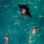 From Bali: Nusa Penida 3 Spots Snorkeling Tour & West Island - An In-Depth Look at the Tour Experience