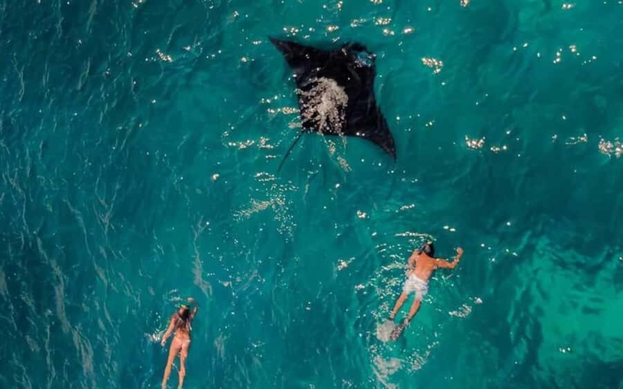 From Bali: Nusa Penida 3 Spots Snorkeling Tour & West Island - An In-Depth Look at the Tour Experience