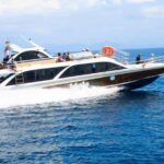 From Bali: Nusa Penida Full Day Private Snorkeling Tour - What Makes This Tour Stand Out?