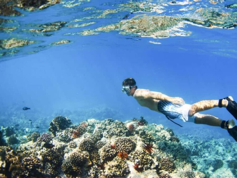 From Bali: Nusa Penida Snorkeling & Island Tour Special Trip - The Practicalities: Transport, Timing, and Group Size