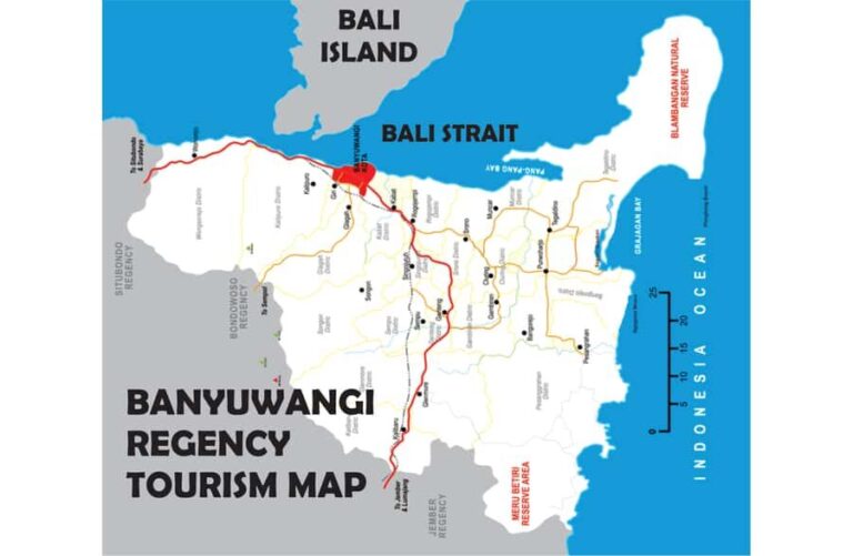 From Bali or Banyuwangi: Ijen Crater Sunrise Hike - What the Reviews Say