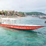 From Bali: Snorkeling at Manta Point Nusa Penida & Land Tour - Transportation, Duration, and Group Size