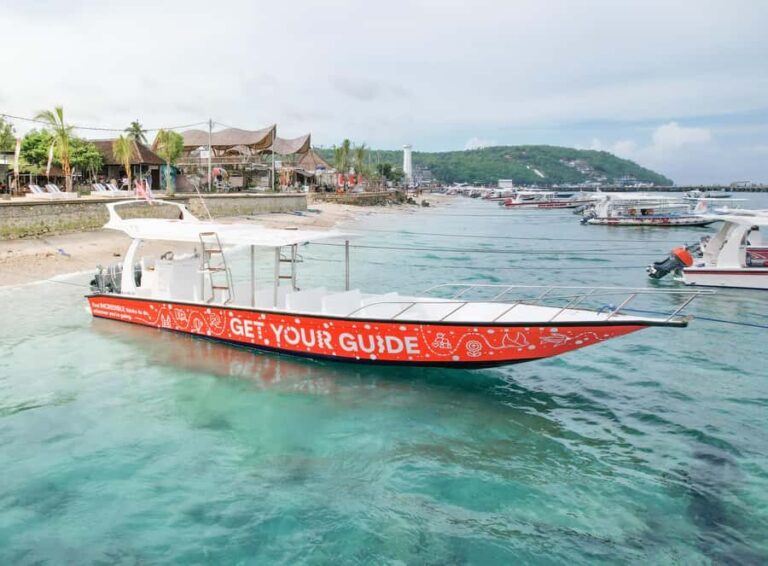 From Bali: Snorkeling at Manta Point Nusa Penida & Land Tour - Transportation, Duration, and Group Size