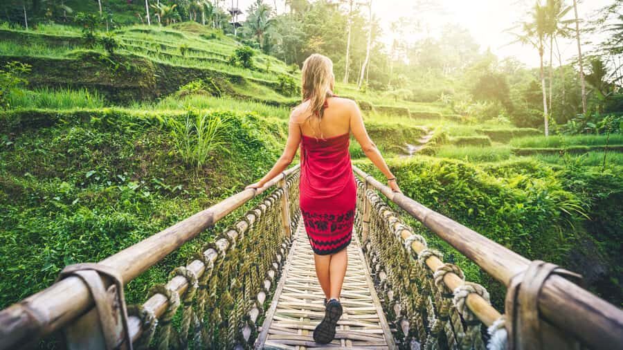 From Bali: Ubud Day Trip - Waterfall, Rice Terraces & More - Practical Details and What You Should Know