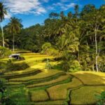 From Bali: Ubud Highlights Tour with Customizable Itinerary - Authenticity and Reviews from Travelers
