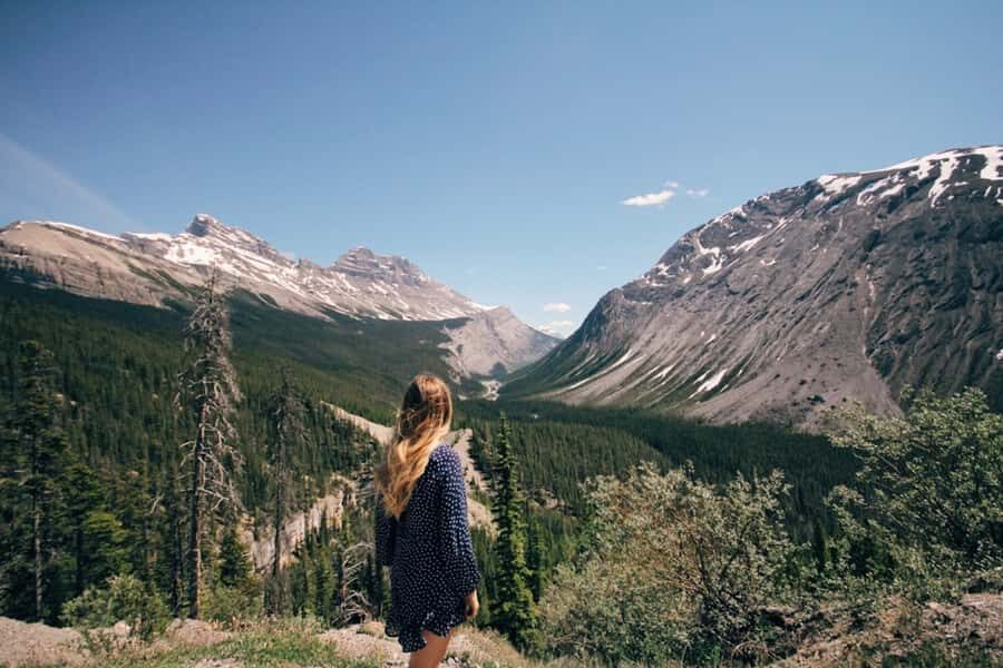 From Banff: Scenic Icefields Parkway Premium Guided Day Tour - First Stops: Peyto Lake and Bow Lake