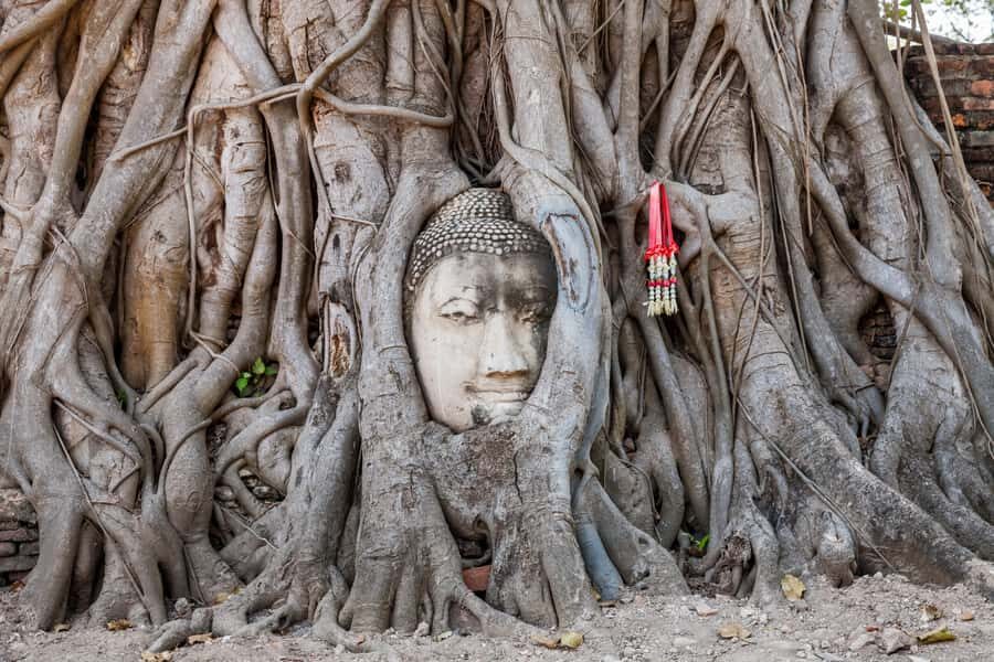 From Bangkok: Ayutthaya Private Full-Day UNESCO Trip - The Experience and What It Means for You