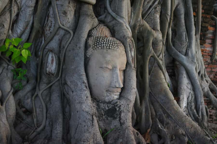 From Bangkok: Ayutthaya UNESCO World Heritage Site Day Trip - Practical Insights