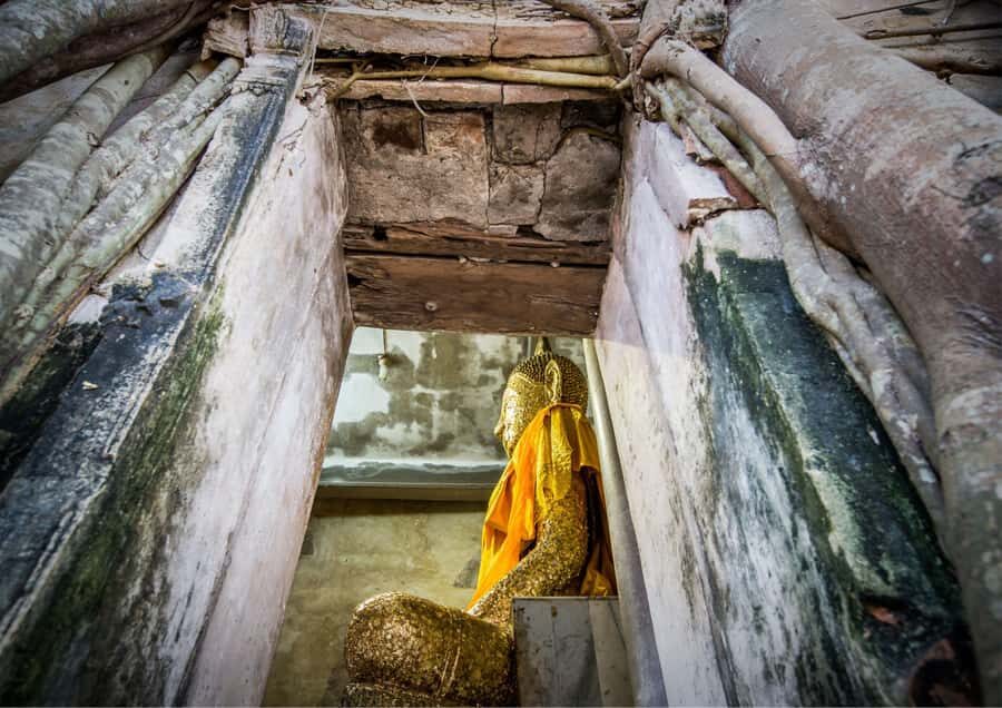 From Bangkok: Taste and Tune of Samut Songkhram Private Tour - Why This Tour Offers Great Value