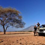 From Banyuwangi: Baluran Wildlife Safari Sunset Tour - Exploring the Park’s Other Features: Mangroves and Bama Beach