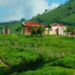 From Bávaro: Higüey Tour with Ranch Horse Ride and Lunch - Horseback Riding at a Private Ranch