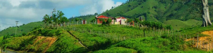 From Bávaro: Higüey Tour with Ranch Horse Ride and Lunch - Horseback Riding at a Private Ranch