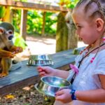 From Bayahibe: Half Day Monkeyland Safari - A Detailed Look at the Experience