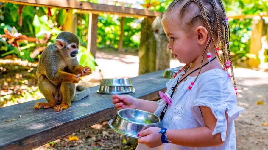 From Bayahibe: Half Day Monkeyland Safari - A Detailed Look at the Experience