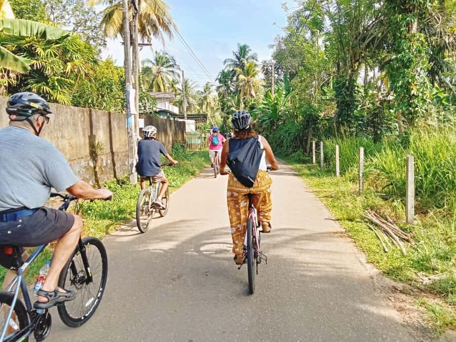 From Bentota/Kalutara:Countryside Cycling Adventure in Galle - Practical Details: What You Need to Know