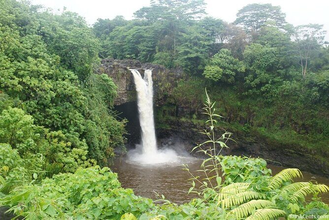 From Big island Kona Volcanoes and Waterfalls Shared Tour - Practical Considerations and Tips