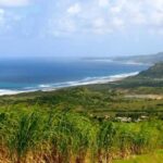From Bridgetown: Barbados Coast To Coast Half-Day Tour - The Experience of the Guides and Group