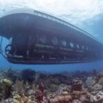 From Bridgetown: Scenic Boat and Submarine Tour - An In-Depth Look at the Bridgetown Submarine Tour